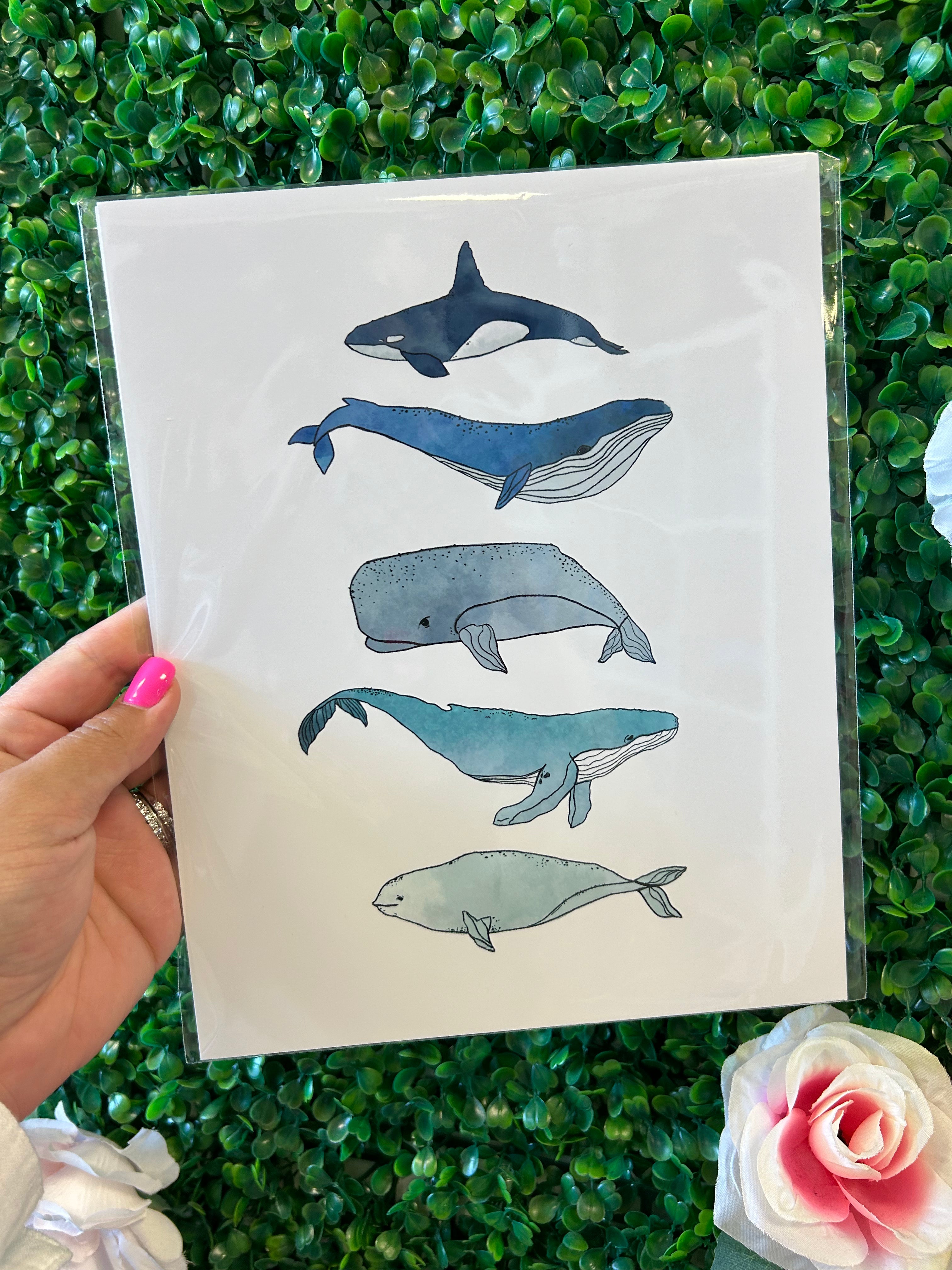 "Five Whales" 8x10 Print – SaltwaterDesigns NL